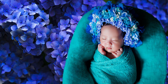 New Baby flowers in Denver, CO | King Soopers – Local Flower Delivery